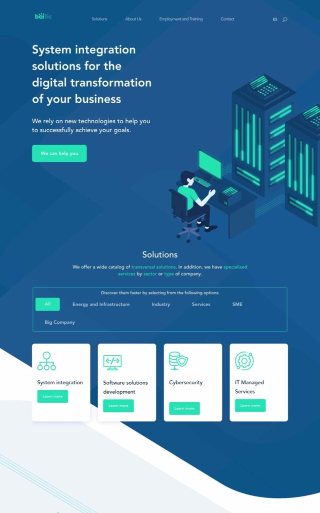 Baitic Website Example by Ericks Webs Design